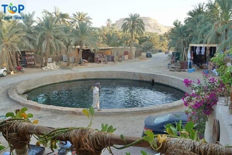 Cleopatra Spring in Siwa Oasis | Top Ten Egypt