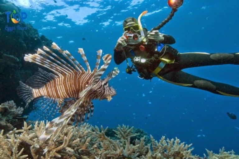 Choosing the Right Camera Gear for Red Sea Diving - Egypt Tour packages